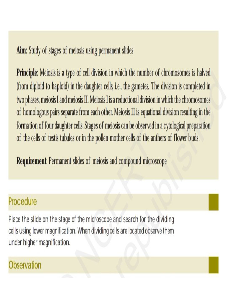 Meiosis Permanent Slide | PDF