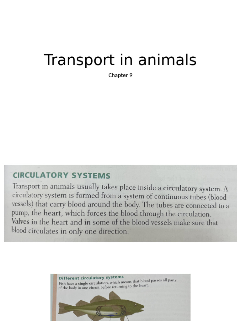 9 Transport in Animals | PDF