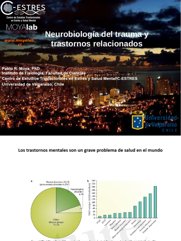 Clase Neurobiología del trauma 2024 Pablo Moya | PDF