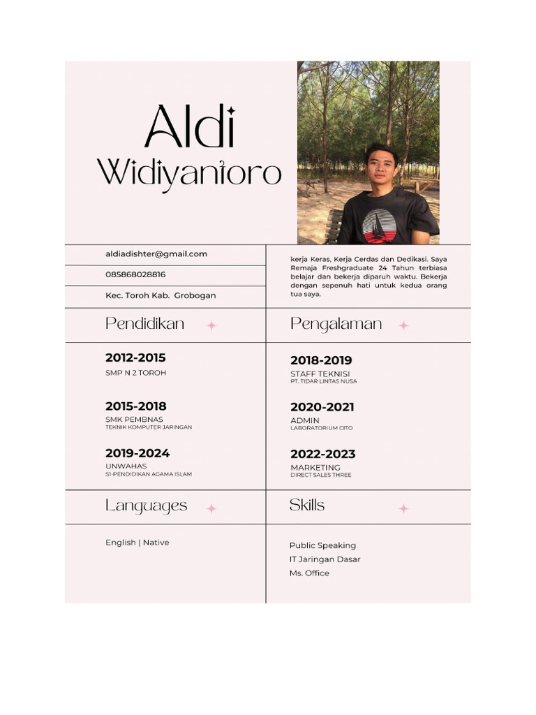 Aldi CV 2024. | PDF