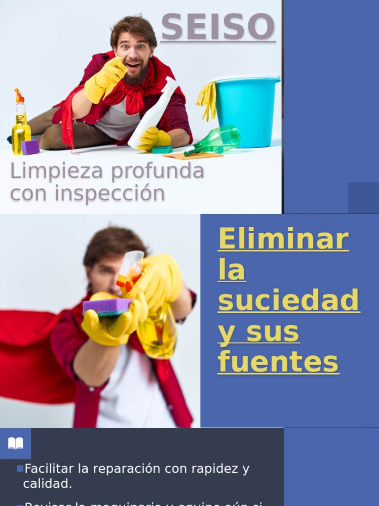 SEISO Capacitación | PDF