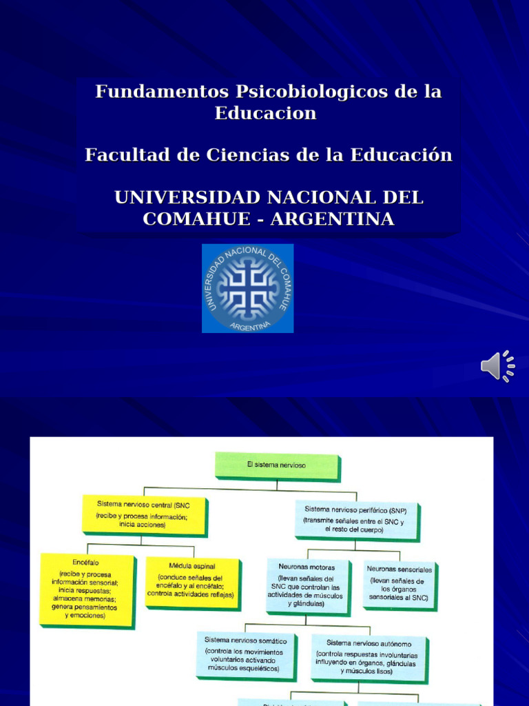 SNerviosoSEMI2020 Con Audio1 | PDF