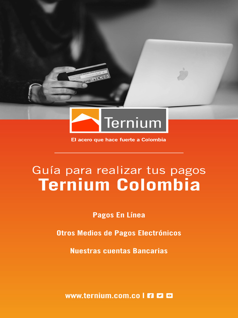 Manual de Pagos | PDF