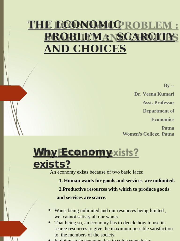 Scarcity and Choices | PDF | Opportunity Cost | Business Economics
