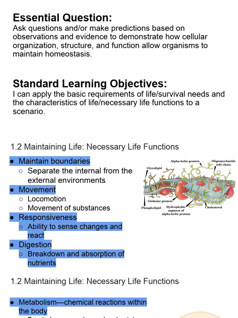 1.2 Maintaining Life Notes (1) | PDF