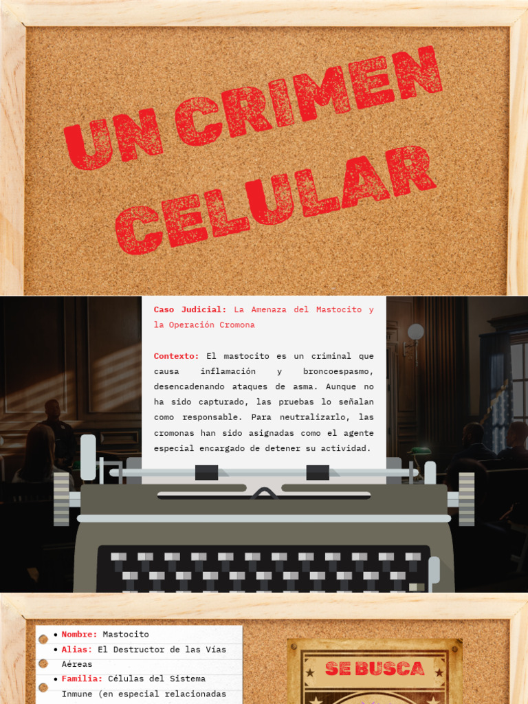 CROMONAS | PDF