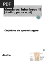 11 - Região Poplítea | PDF | Joelho | Anatomia humana