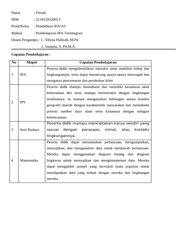 Fitriah - 2110129320013 - Model Imersed | PDF