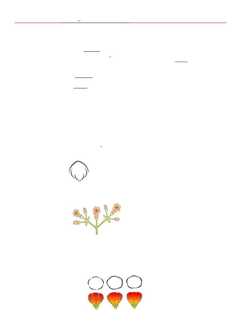 Biology Assignment - 5 F | PDF | Flowers | Plants