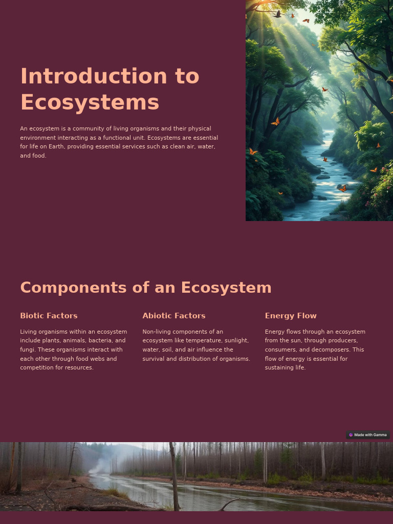 Introduction to Ecosystems | PDF