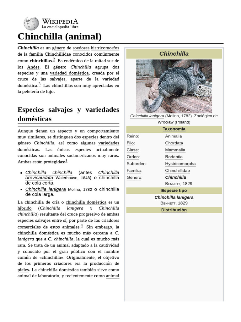 Chinchilla (Animal) | PDF