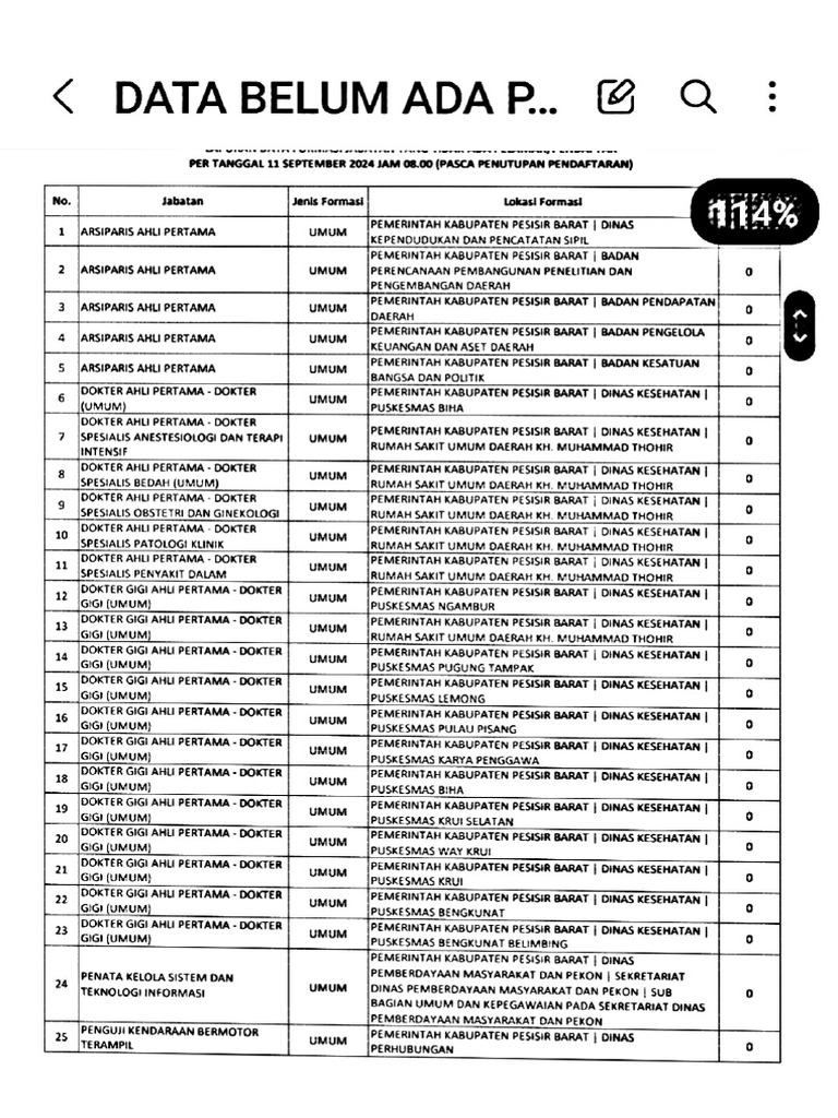 Pendataan Belum Ada | PDF