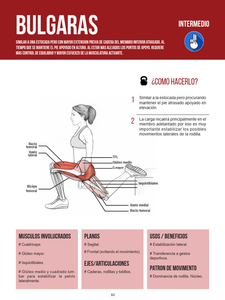 Ejercicio de Búlgaras: Técnica y Beneficios | PDF | Rodilla ...