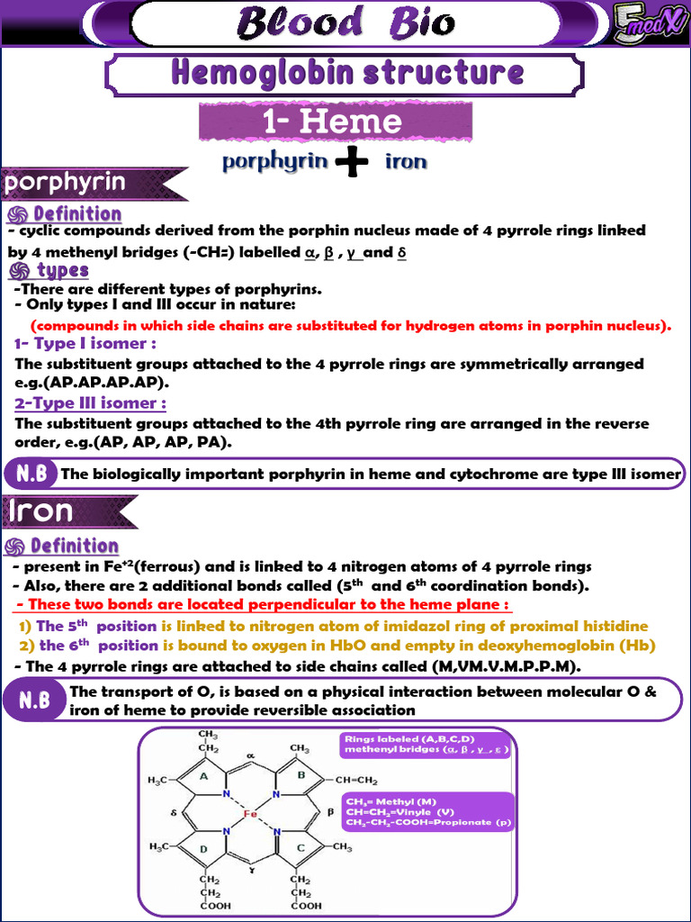 Blood Bio HEME | PDF