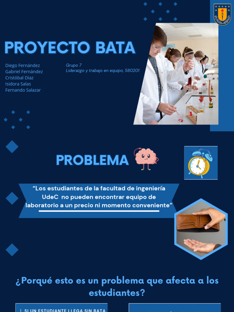 Proyecto Bata | PDF