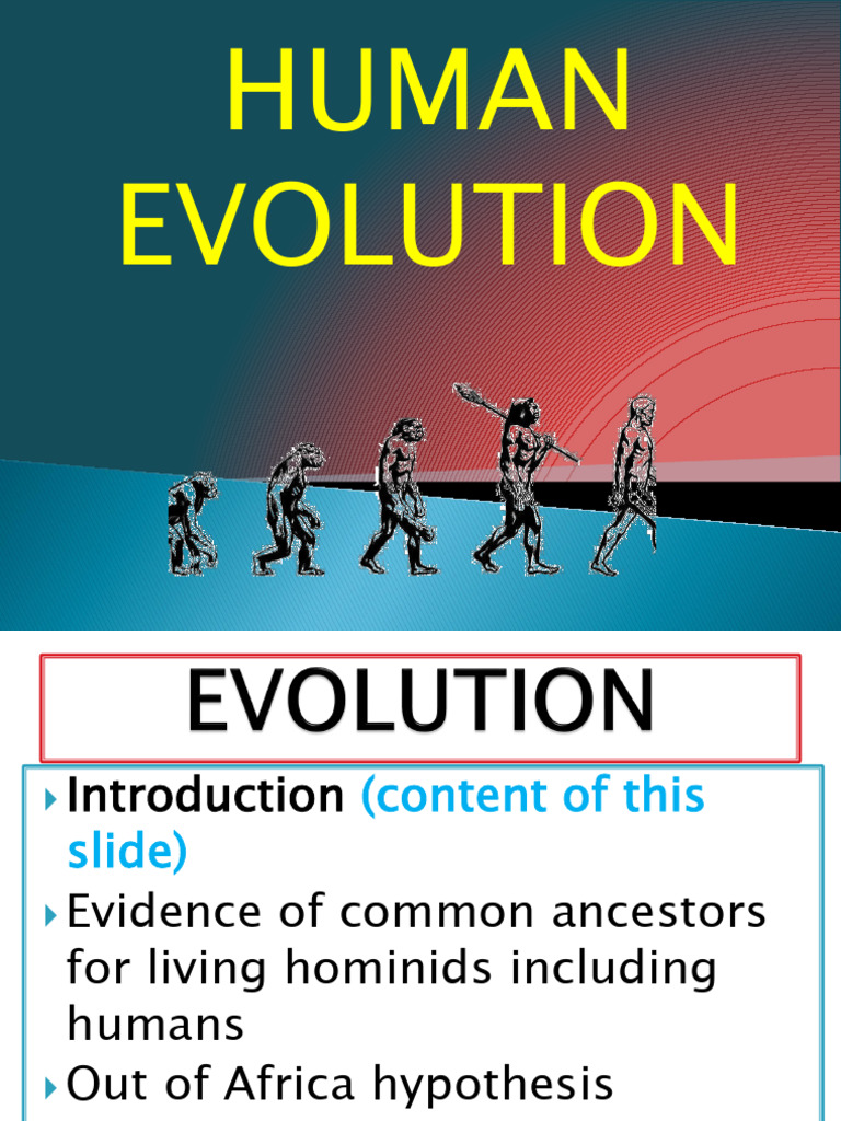 12.evolution by Human Final-1 | PDF