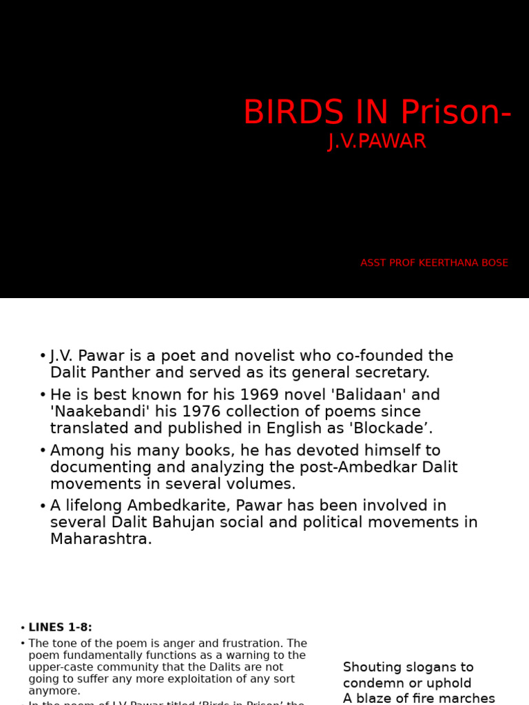 Birds in Prison | PDF