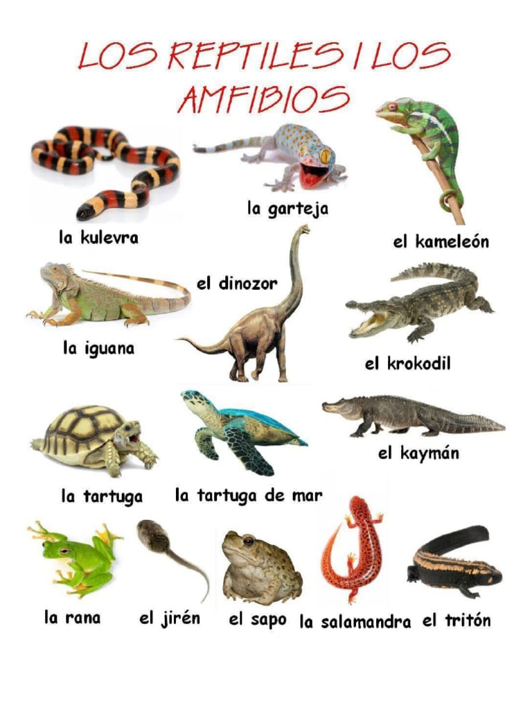 Animales Hoy | PDF