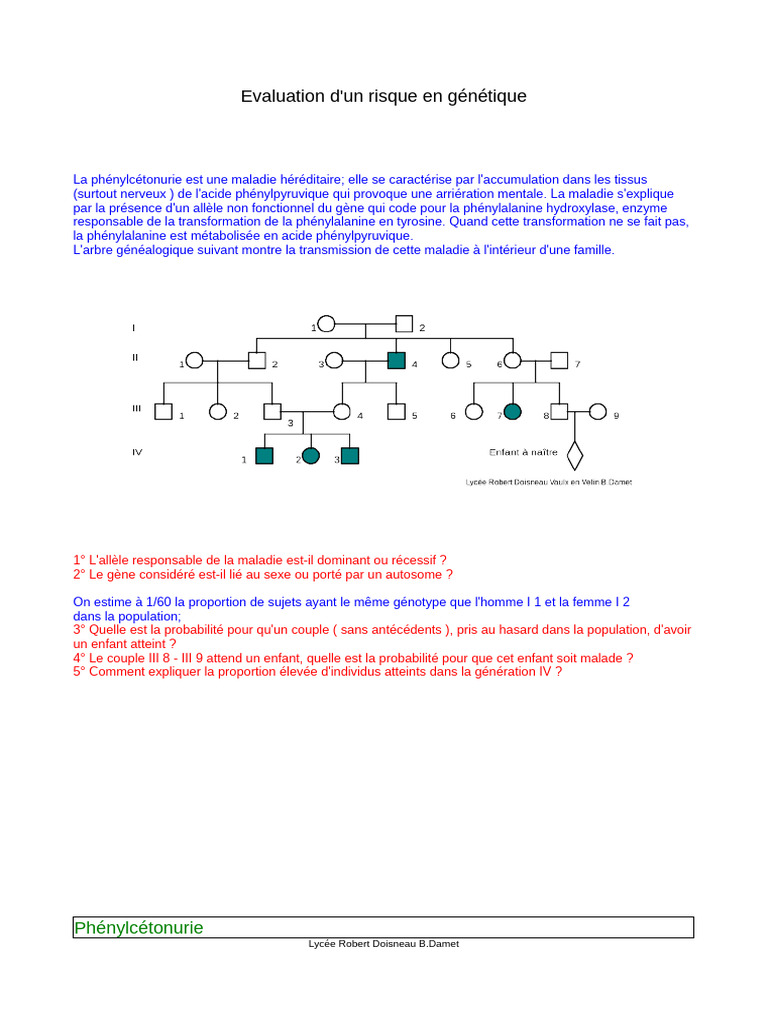 Ex9 Phénylcétonurie | PDF