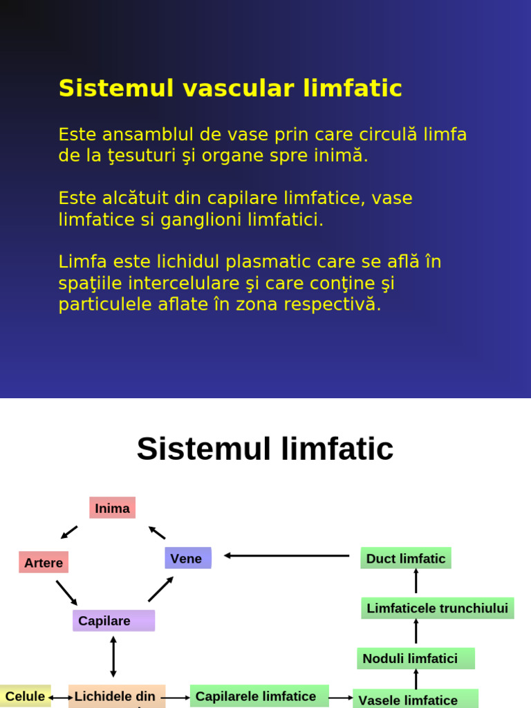 Sistemul-Limfatic Desene | PDF