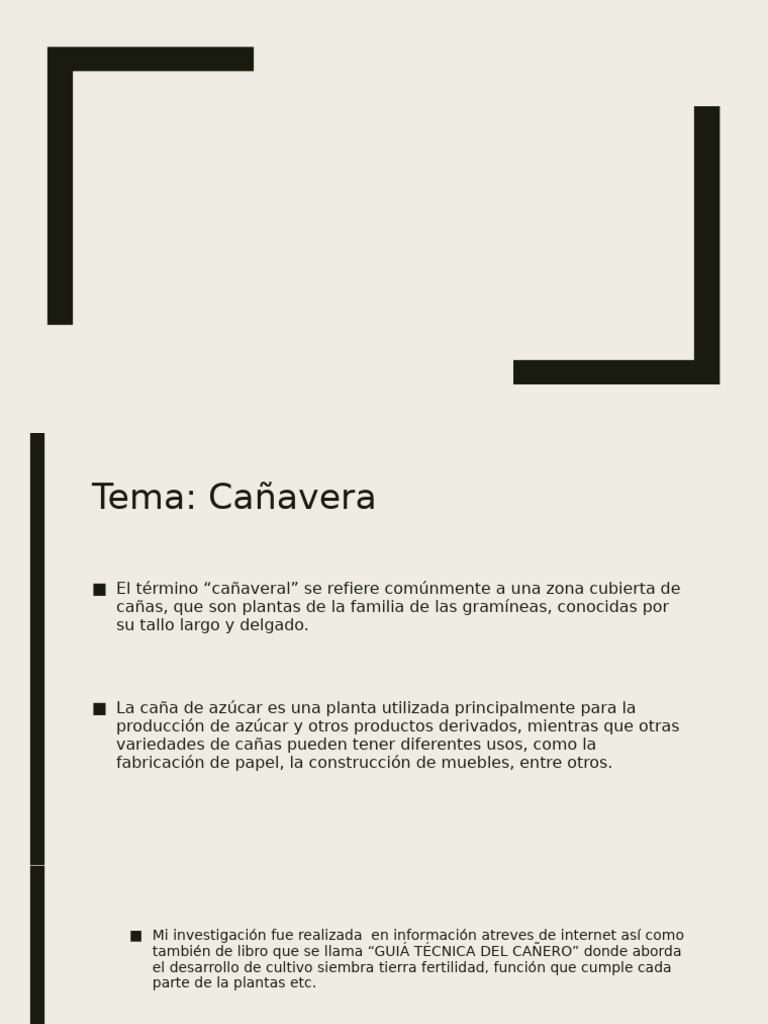 Presentación (2) | PDF