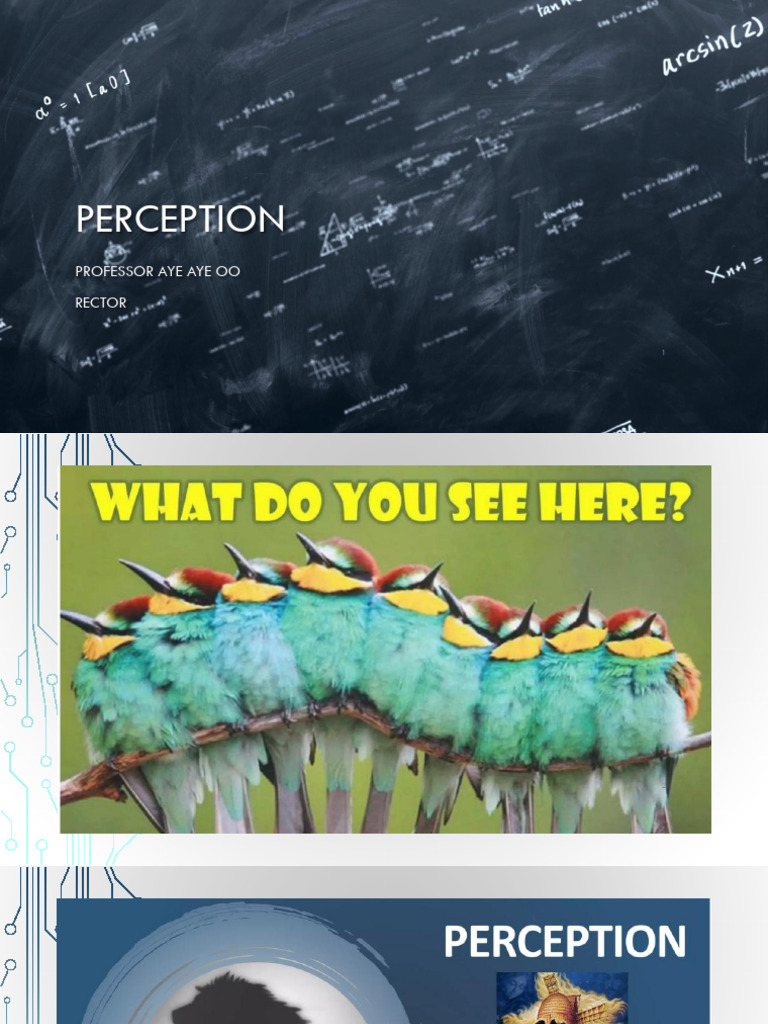Perception | PDF