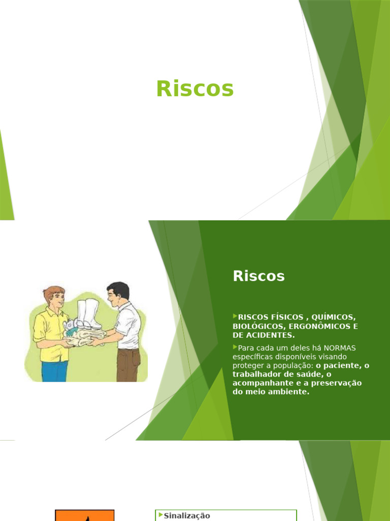 Aula 2 RISCOS | PDF
