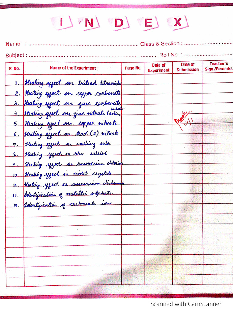 Class 9 Chemistry Practical File | PDF