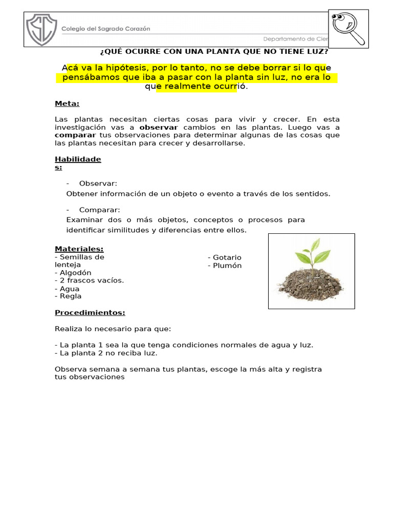 Pauta Experimento Las Necesidades de Las Plantas. | PDF | Plantas ...