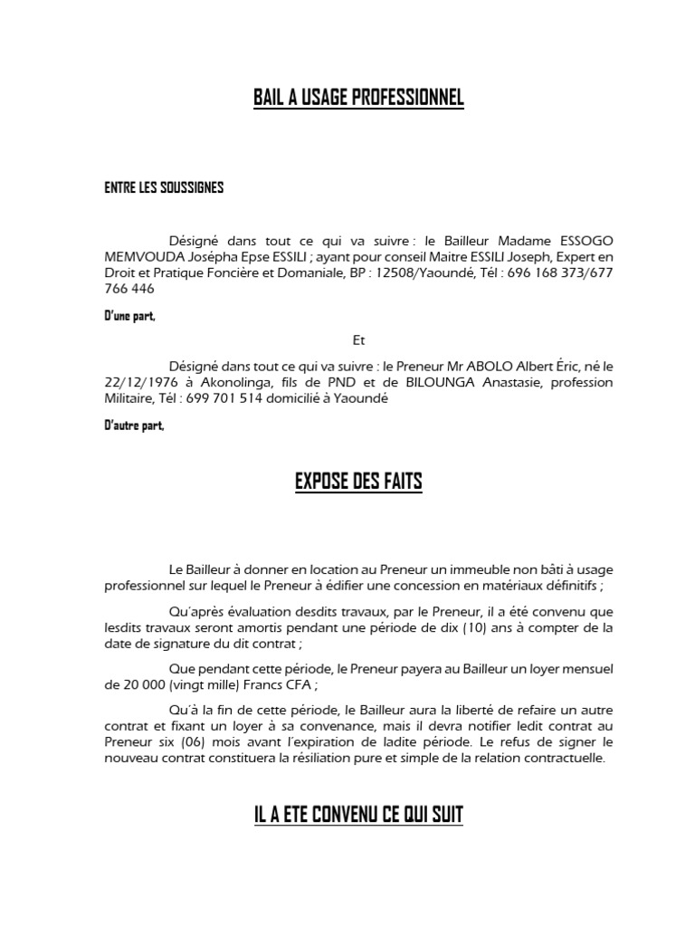 BAIL A USAGE PROFESSIONEL Écriture XL | PDF