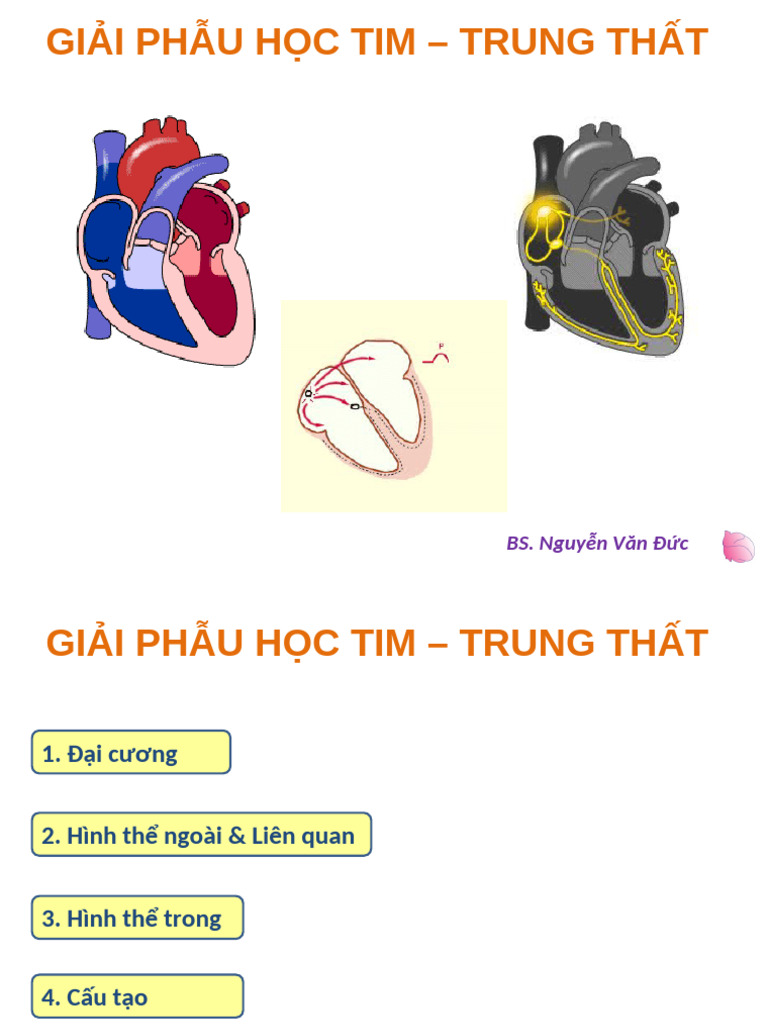 Tim - Trung TH - T | PDF