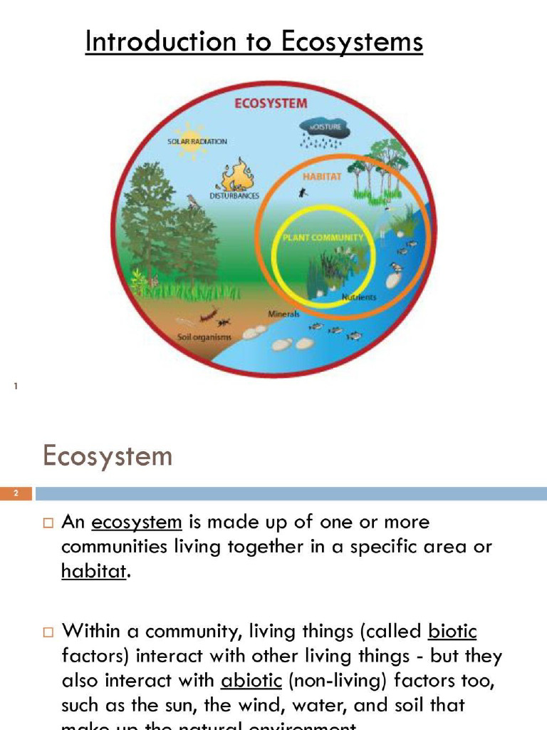 Introduction to Ecosystems | PDF