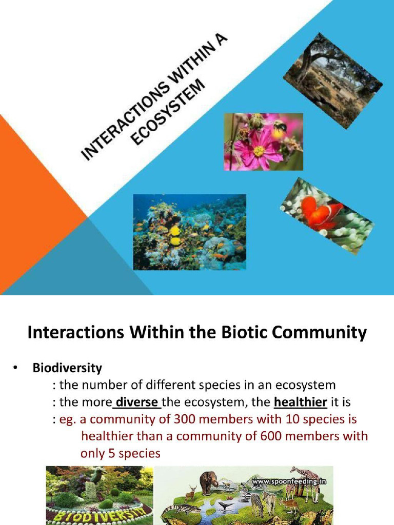 Interactions Withn The Biotic Community | PDF