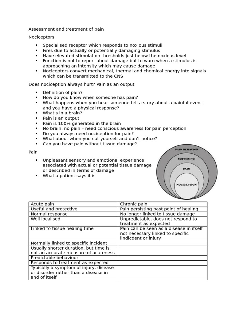 Pain Assessment | PDF