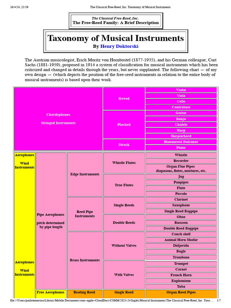 Taxonomy of Musical Instruments | PDF