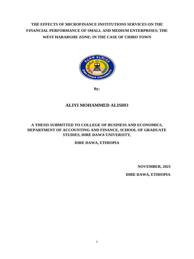 Aliyi Final Thesis2024 | PDF