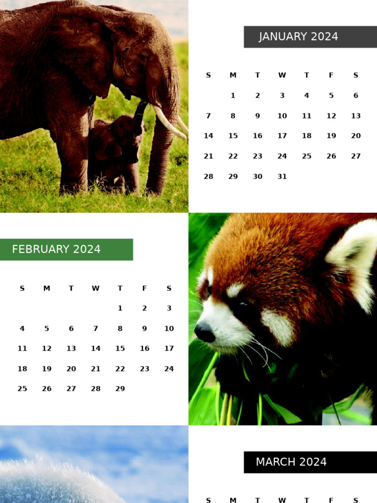 Cute Animals Photo Calendar | PDF
