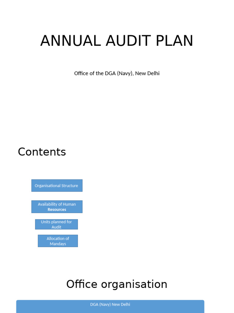 Annual Audit Plan | PDF