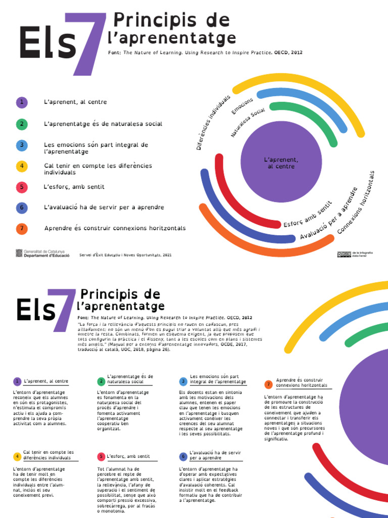 7 Principis Aprenentatge Blanc Infografia Catala 2021 | PDF