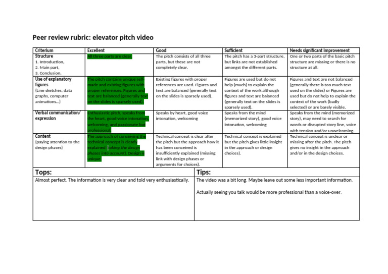 Rubric Peer review_elevator pitch videos2 | PDF