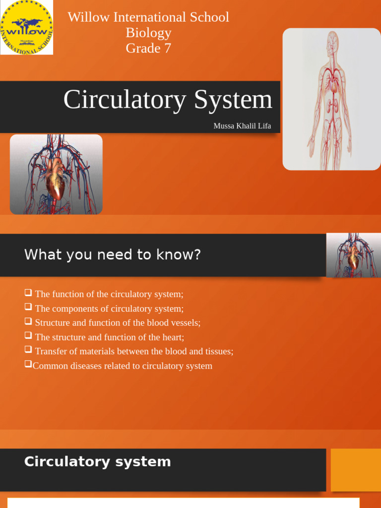 Gr 7 Lesson 14 -Circulatory System 2 | PDF
