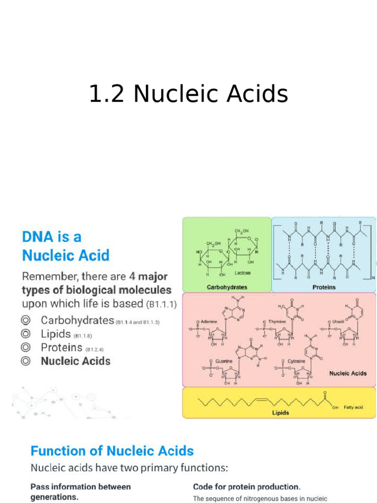 1.2 Nucleic Acids | PDF