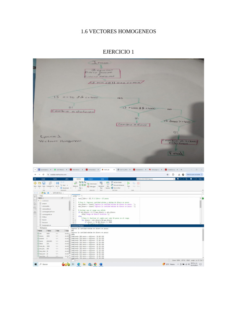 1.6 Vectores Homogeneos | PDF