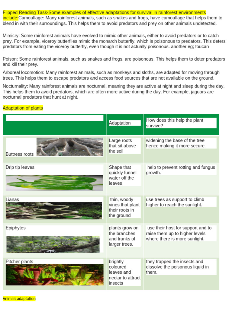 Reading Materials - Tropical Rainforest | PDF | Rainforest | Predation