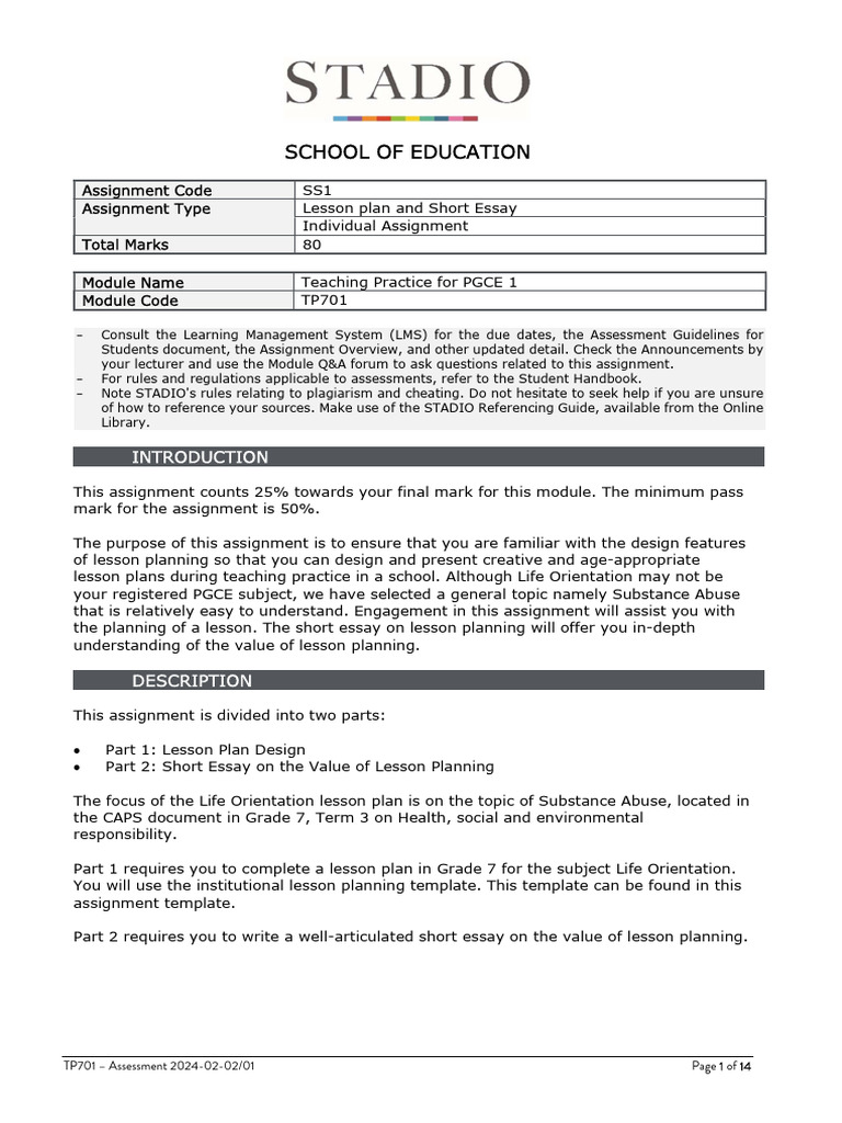 STADIO+Assignment+Template TP701-SS1+2024 | PDF