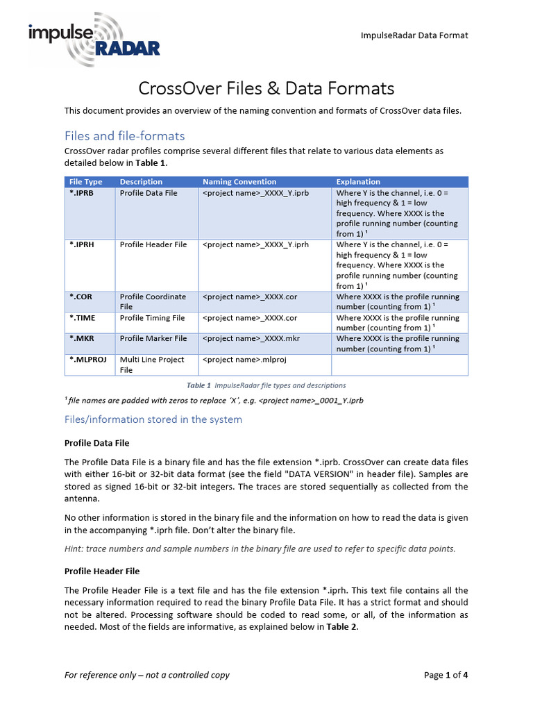 ImpulseRadar File Formats Overview | PDF | File Format | Computer Engineering