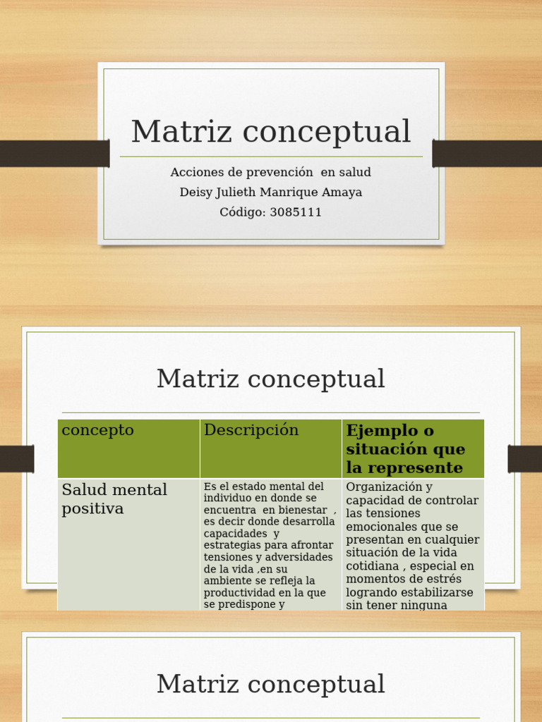Matriz Conceptual | PDF