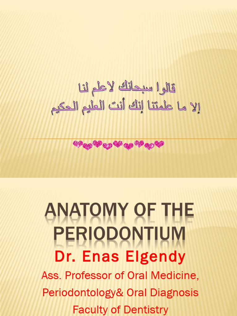 Anatomy of Periodontium | PDF