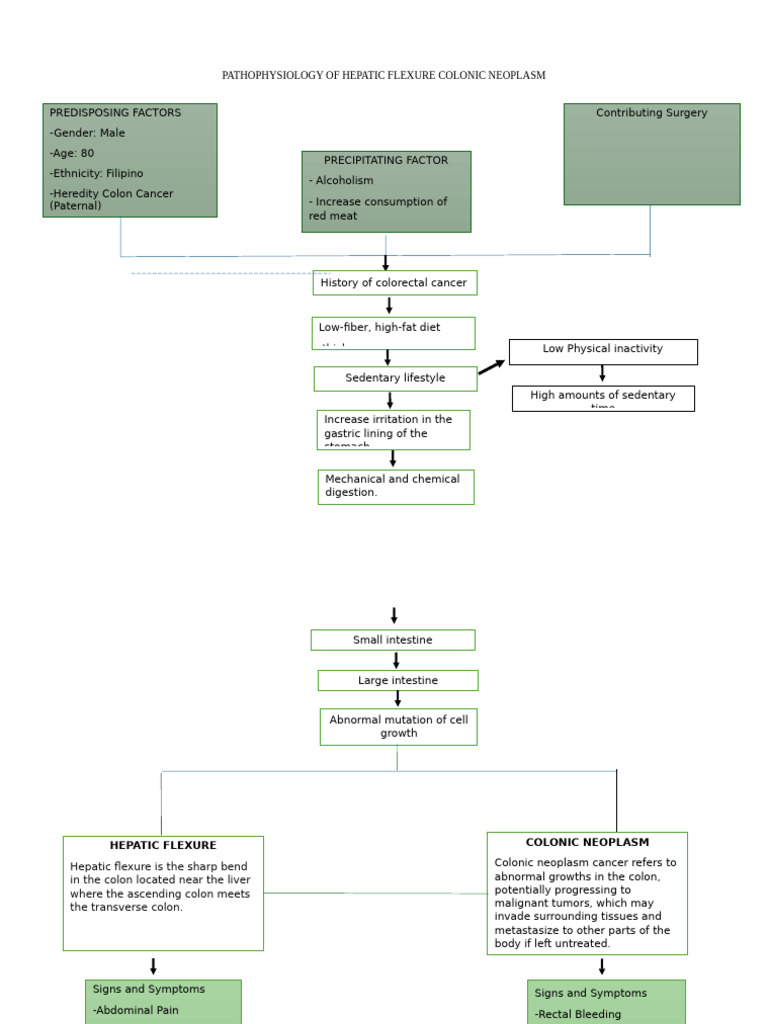Actual Pathophysiology H | PDF | Colorectal Cancer | Wellness