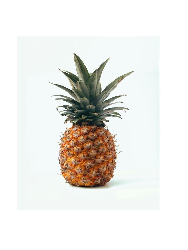 Friut | PDF